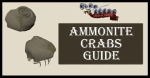 OSRS Ammonite Crabs Guide | Gear & Strategy