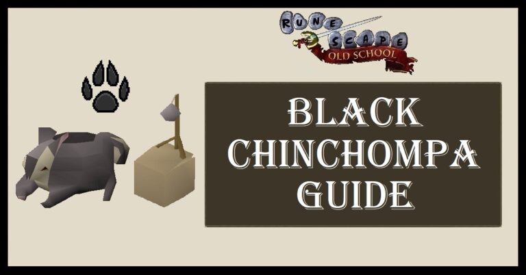 OSRS Black Chinchompas Guide | Hunter Method