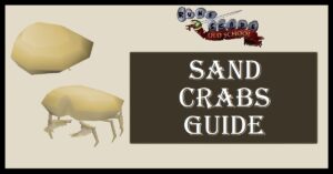 OSRS Sand Crabs Guide | Gear & Strategy