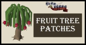 OSRS Fruit Tree Patches | Locations & Types