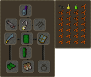 OSRS Bryophyta Guide | Gear & Strategy