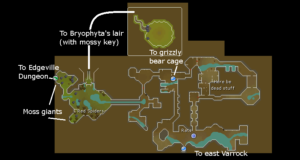 OSRS Bryophyta Guide | Gear & Strategy