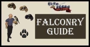 OSRS Falconry Guide | Method & Xp Rates