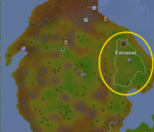 OSRS Falconry Guide | Method & Xp Rates