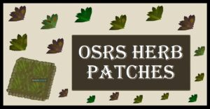 OSRS Herb Patches Guide - Route Order