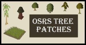 OSRS Tree Patches Guide - Route Order