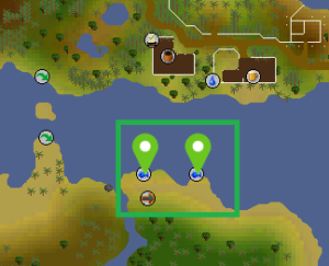 OSRS Karambwan Fishing Guide | Method & Exp Rates